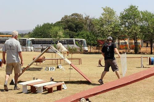 Gallery - SA Dog Training