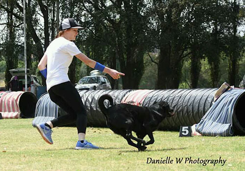 Gallery - SA Dog Training