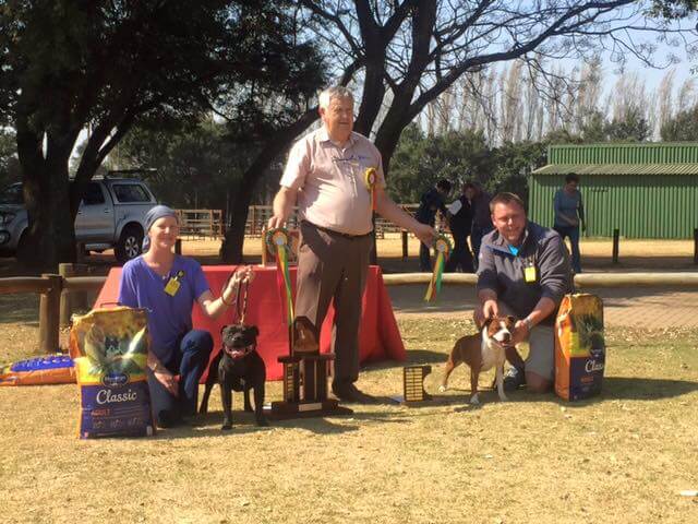 Gallery - SA Dog Training