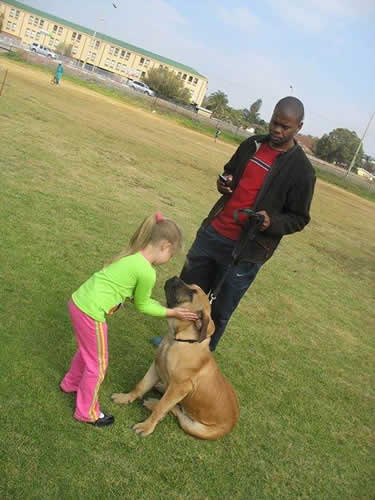 Gallery - SA Dog Training