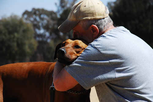 Gallery - SA Dog Training