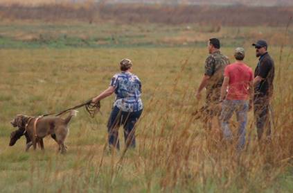 Gallery - SA Dog Training